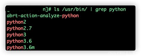 centos7添加yum源添加报错 在docker容器中使用yum提示python路径不对 csdn博客