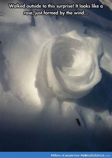 Mother Nature Is Flirting With You FunSubstance