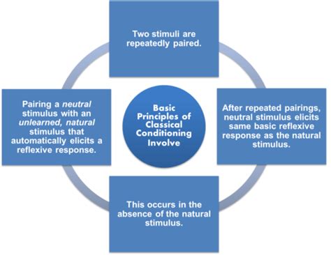 Chapter 5 6 Midterm Flashcards Quizlet