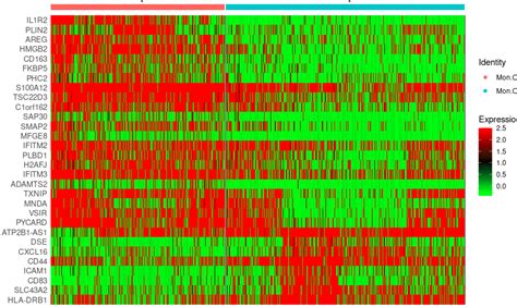 Doheatmap Scalebar Never Shows Negative Values · Issue 5874