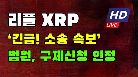 리플 보유자 지금 보셔야 합니다 긴급 소송 속보 Youtube
