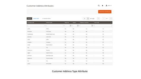 magento 2 customer attributes ppt