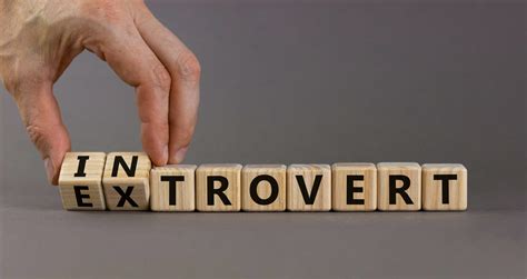 Are Software Developers Introverted Serengeti