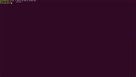 bash scripting how to output and format text on linux shell vitux