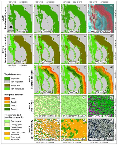 Remote Sensing Special Issue Remote Sensing Of Mangroves