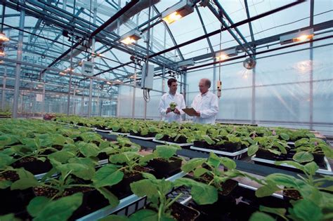 Biological Assay Qualification Using Design Of Experiments