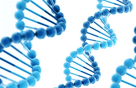 Evolutionary Computation And Metaheuristic Department Of Computer Science