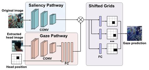 Dual Pathways And Shifted Grid Architecture By Recasens Et Al 5
