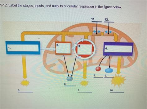 Solved 1 12 Label The Stages Inputs And Outputs Of