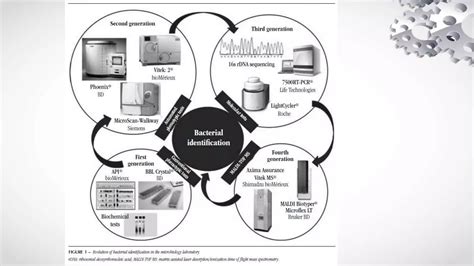 Automation In Microbiology Pptx Chemistry Science