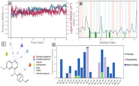 Md Simulation Analysis Of Chembl376820 In Complex With Dengue Virus Download Scientific Diagram