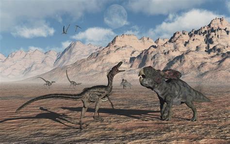 Protoceratops Vs Velociraptor Who Wins