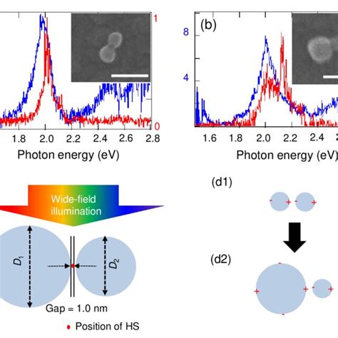 Numerical Calculation For The Interaction Energy For A System With Both