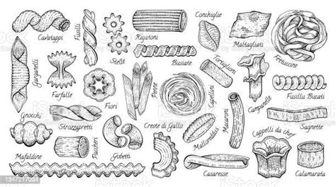 이탈리아 파스타 벡터 음식 스케치 아이콘 세트입니다 낙서 마카로니 일러스트레이션 손으로 그린 요리 컬렉션 파스타 페투치네 푸실리 고베티 고베티 가펠리니 콩치글리