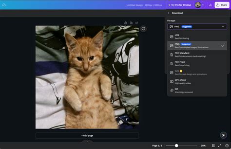 Did You Know Canva Works As A Quick Image File Converter Here S How