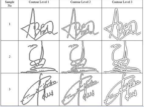 Contour Level Detection For Level 1 2 And 3 Download Scientific Diagram