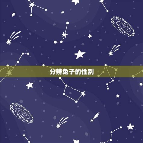 兔子怎么认识公母幼兔 如何分辨兔子的性别和年龄 星辰运势