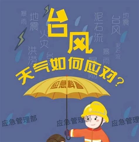 应急科普 台风天应该如何应对 你知道吗 管理 广东 来源