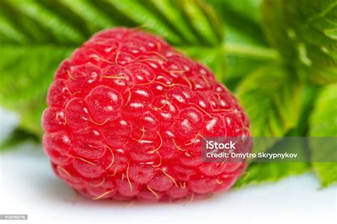 잎이있는 라즈베리 라즈베리는 흰색 배경에 고립되어 있습니다 0명에 대한 스톡 사진 및 기타 이미지 0명 개체 그룹 과일 Istock