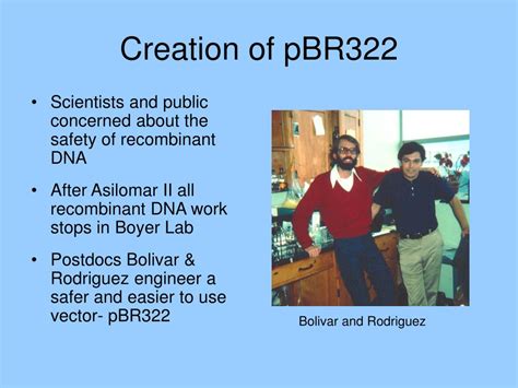 Ppt The History Of Cloning Vector Pbr322 Scientific And Intellectual Property Considerations