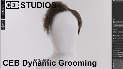 Blender动态修饰粒子毛发插件 Dynamic Grooming 0 67 Cgtar Cg艺站