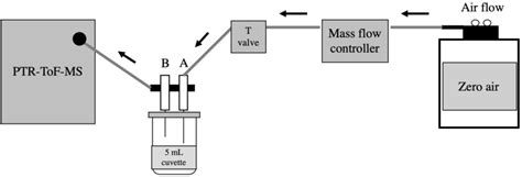 Diagram Of The 5‐ml Sampling Cuvette Setup Used With Ptr‐tof‐ms This