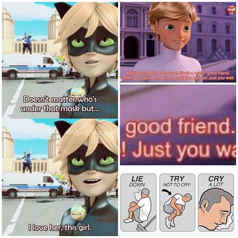 Memes De Ladybug