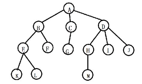 C数据结构：树（概念一）c树 Csdn博客