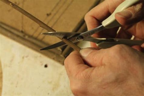 Make A Twig Trellis Canadian Woodworking