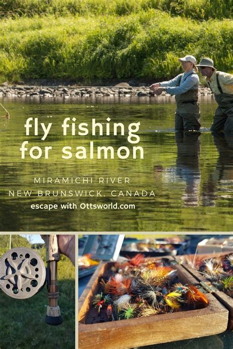 Canadas Fly Fishing Hidden Gem Fly Fishing New Brunswick Canada