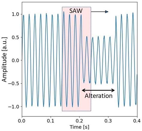 Local Distributed Node For Power Quality Event Detection Based On Multi