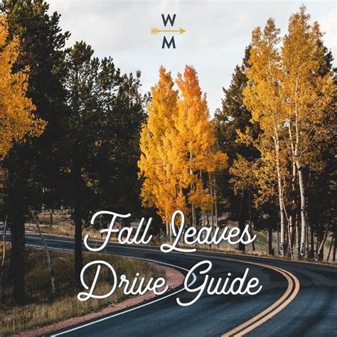 Christina Surprenant On Linkedin Its Time For A Break To Peep Some