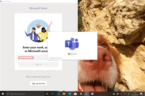 Fix Microsoft Teams Has Stopped Working On Windows IR Cache