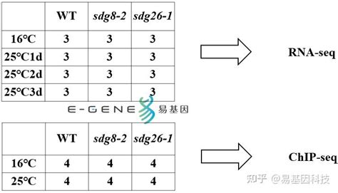 易基因｜植物育种：chip Seq组蛋白揭示h3k36me修饰影响温度诱导的植物可变剪接和开花 知乎