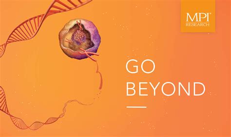 Mpi Research Creative Thats Nice A Science Agency