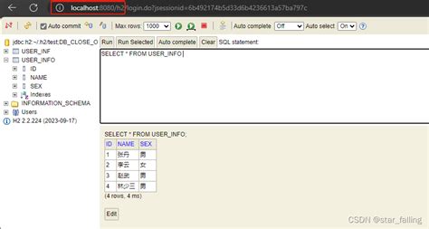 H2数据库学习总结tisch2数据库 Csdn博客
