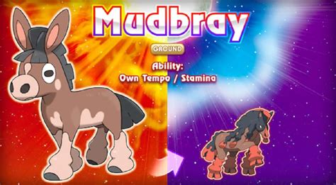 Pokémon What Level Does Mudbray Evolve Other Things You Didn t