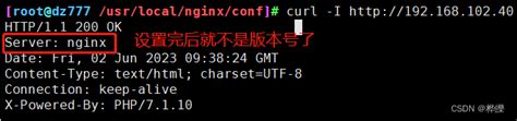 Nginx 优化与防盗链