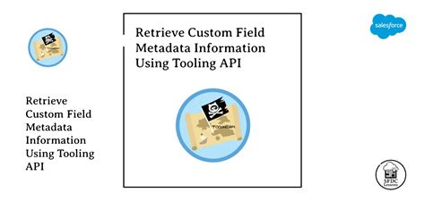 Retrieve Customfield Metadata Information Using Tooling Api Sfdc Lessons