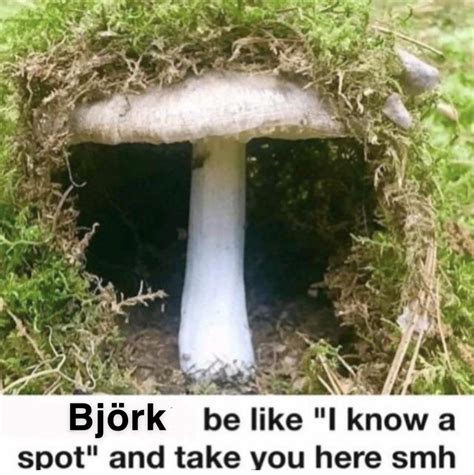 Digging Deeper Rbjork