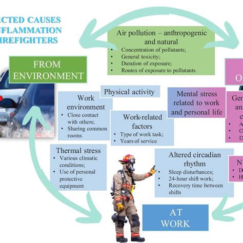 The Scheme Of The Processes Of The Inflammatory Reaction In The Body