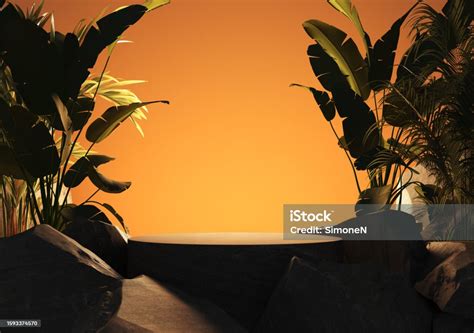 열대 우림의 검은 돌과 바위 전시 제품 또는 진열장을 위한 빈 돌 연단 0명에 대한 스톡 사진 및 기타 이미지 0명 3차원 형태 강단 Istock