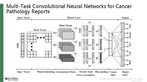 Automatic Information Extraction From Free Text Pathology Reports