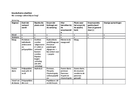 Invulschema Eiwit Invulschema Eiwitten Nb Sommige Vakken Blijven Leeg Vertering Organen