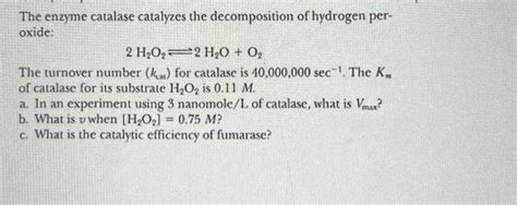 Solved The Enzyme Catalase Catalyzes The Decomposition Of