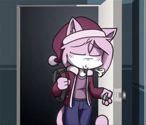 Leo And Aeris House Vg Cats Wiki Fandom