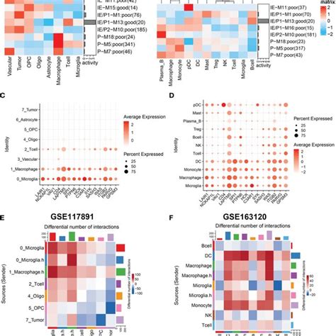 Gene Sets Expression Activity And Cell Cell Interaction In Sing Cell