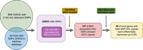 Frontiers Integrative Genomic Analysis Predicts Regulatory Role Of N6