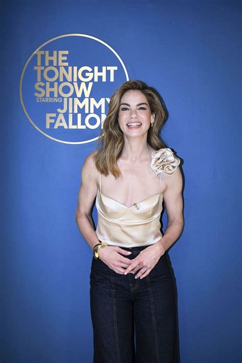 Picture Of Michelle Monaghan