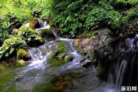 2023广元水磨沟风景区旅游攻略 门票 景点介绍旅泊网